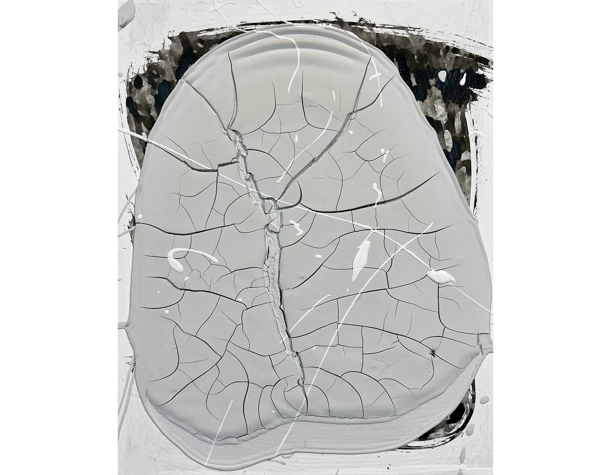 David Burns - SPL-1477-4 | Provide